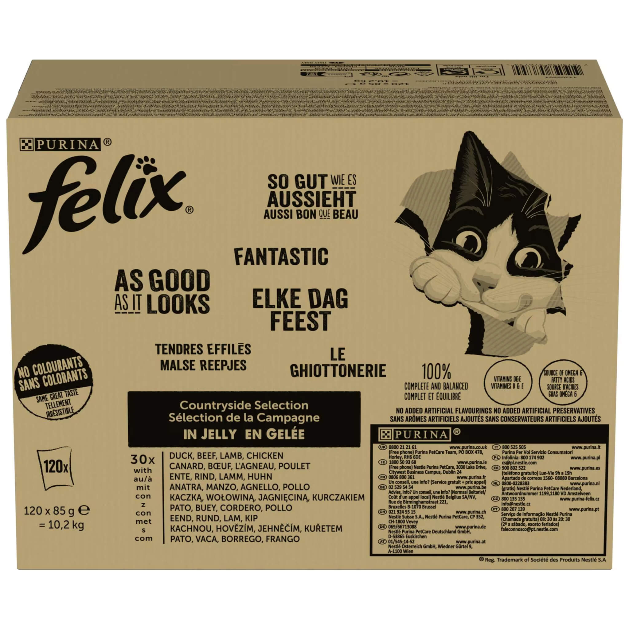 Felix wet food AGAIL meat 120 x 85 g